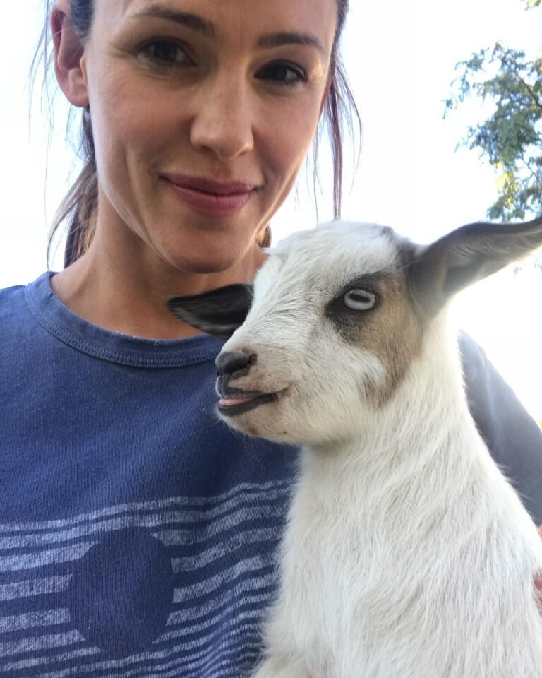 Jennifer Garner Bio, Age, Height, Weight, Body Measurements